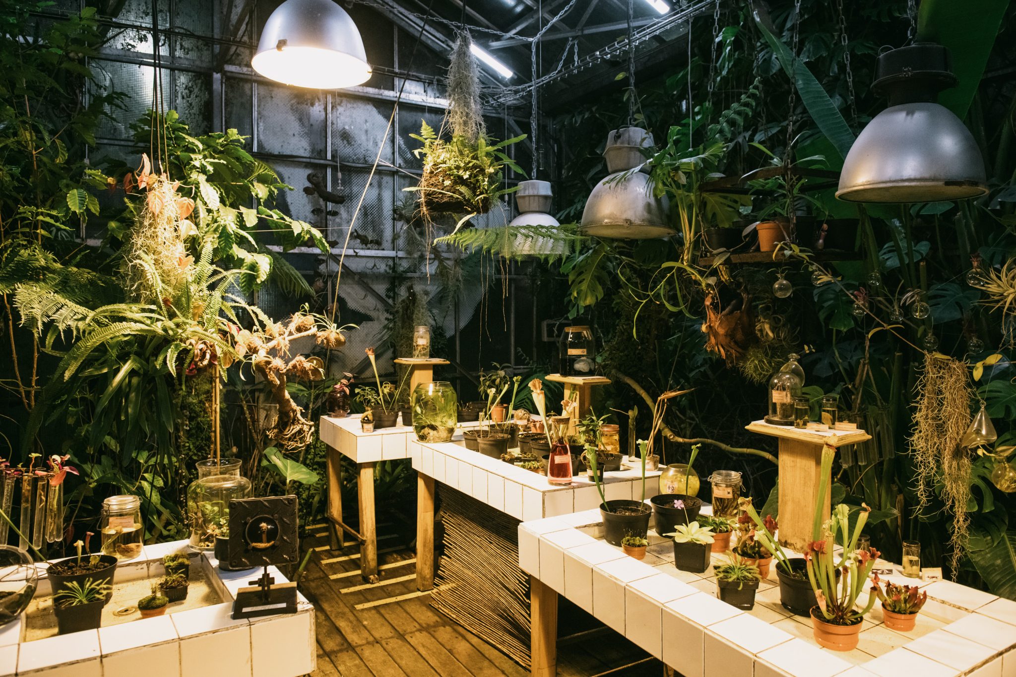 Des Nocturnes inédites en 2026 | Les Machines de l’Île